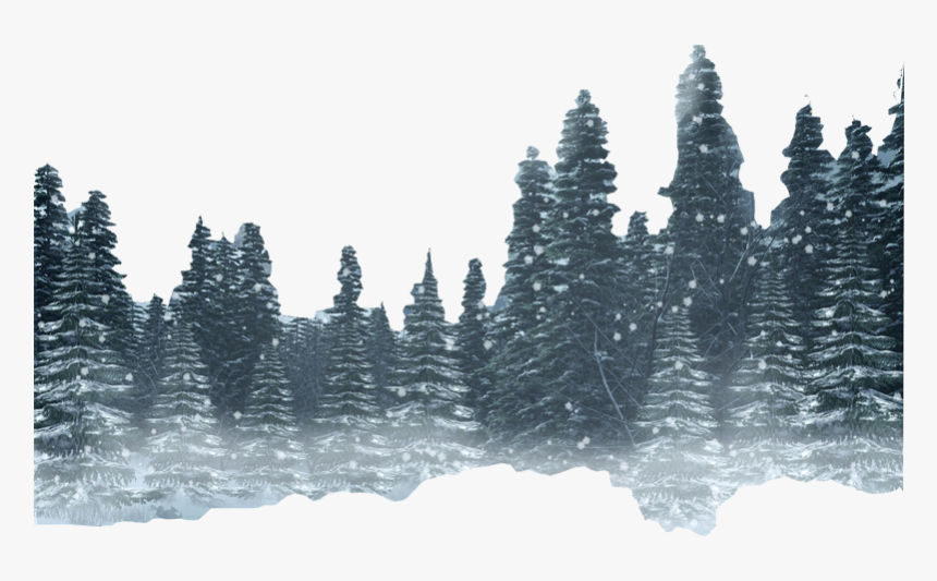Forest Png Hd Photo - Winter Forest Transparent Background, Png ...