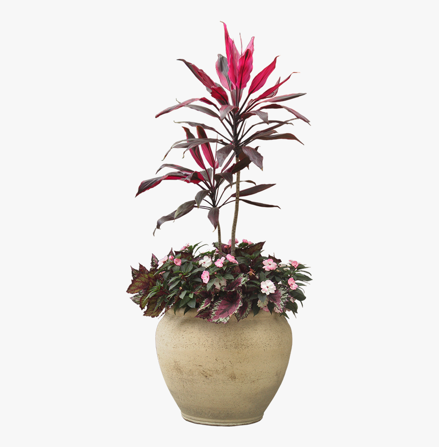 Indoor Plant Potted Plants Png Download - Potted Plants Png Flowers ...