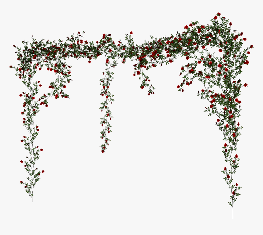 Beach Rose Vine - Rose Vine Png, Transparent Png , Transparent Png ...