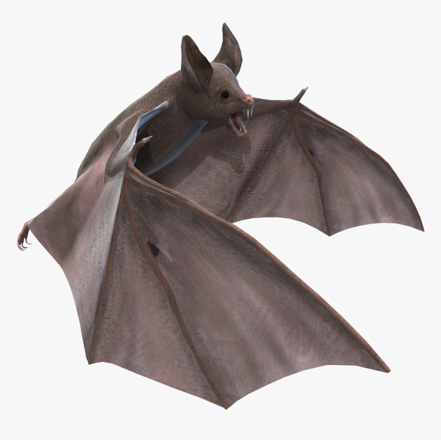Bat Png, Transparent Png , Transparent Png Image - PNGitem