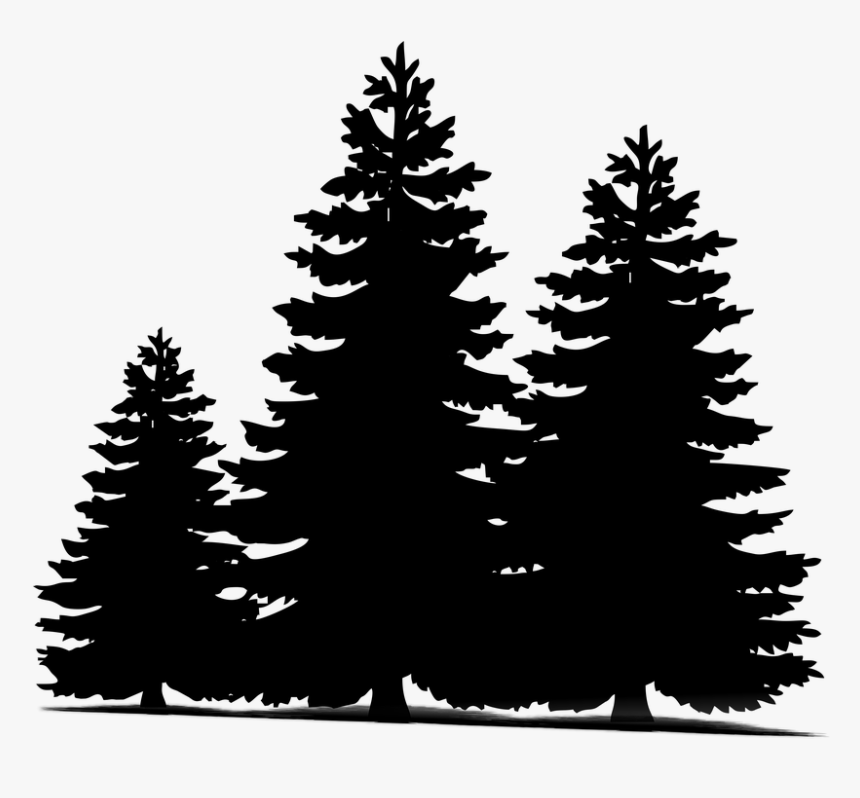 Pine, Trees, Christmas, Sillueta, Winter - Transparent Pine Tree ...
