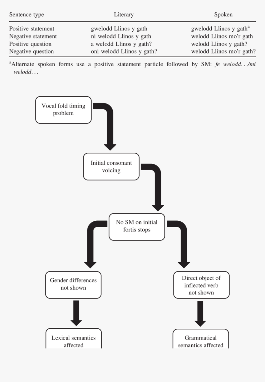 Diagram, HD Png Download , Transparent Png Image - PNGitem