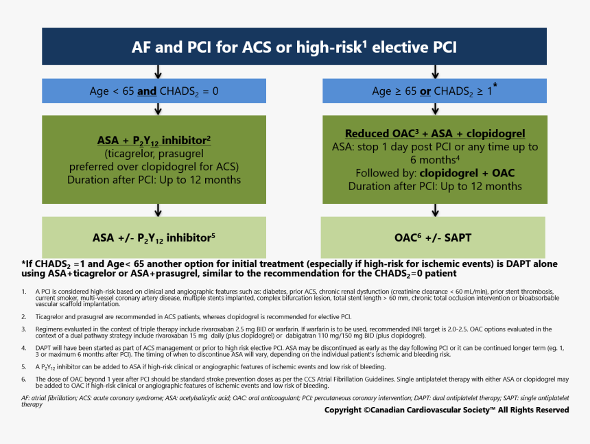 Ccs Acute Coronary Syndrome, HD Png Download , Transparent Png Image ...