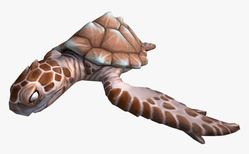 Hawksbill Sea Turtle, HD Png Download , Transparent Png Image - PNGitem