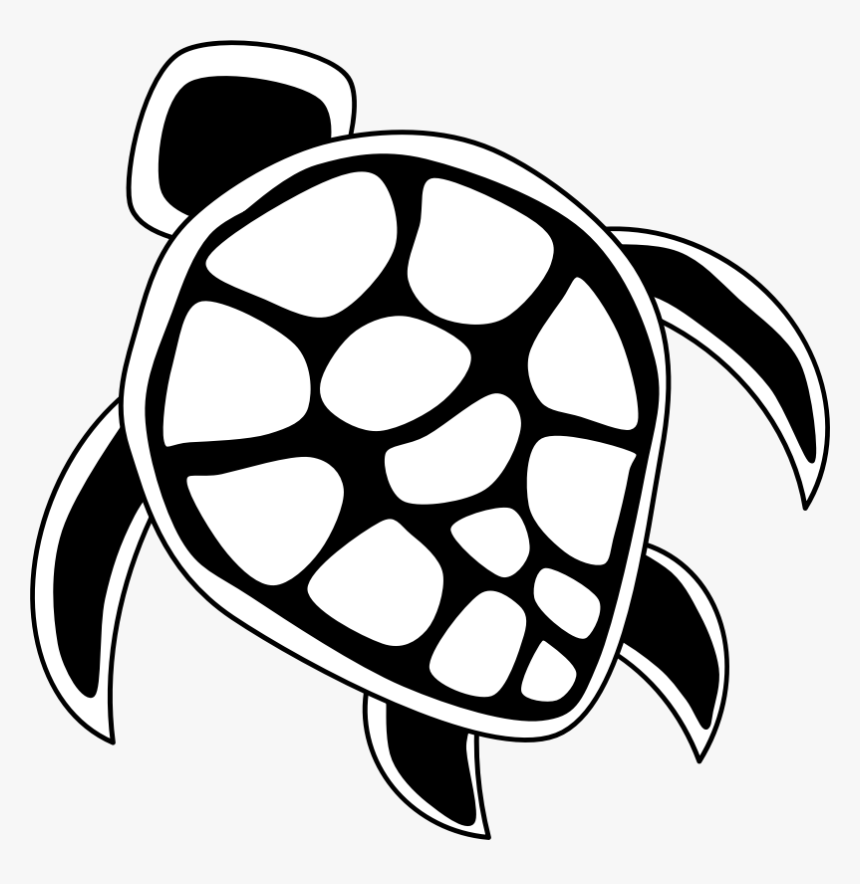 Turtle Clipart Line Drawing - Turtle Logo Transparent Background, HD ...