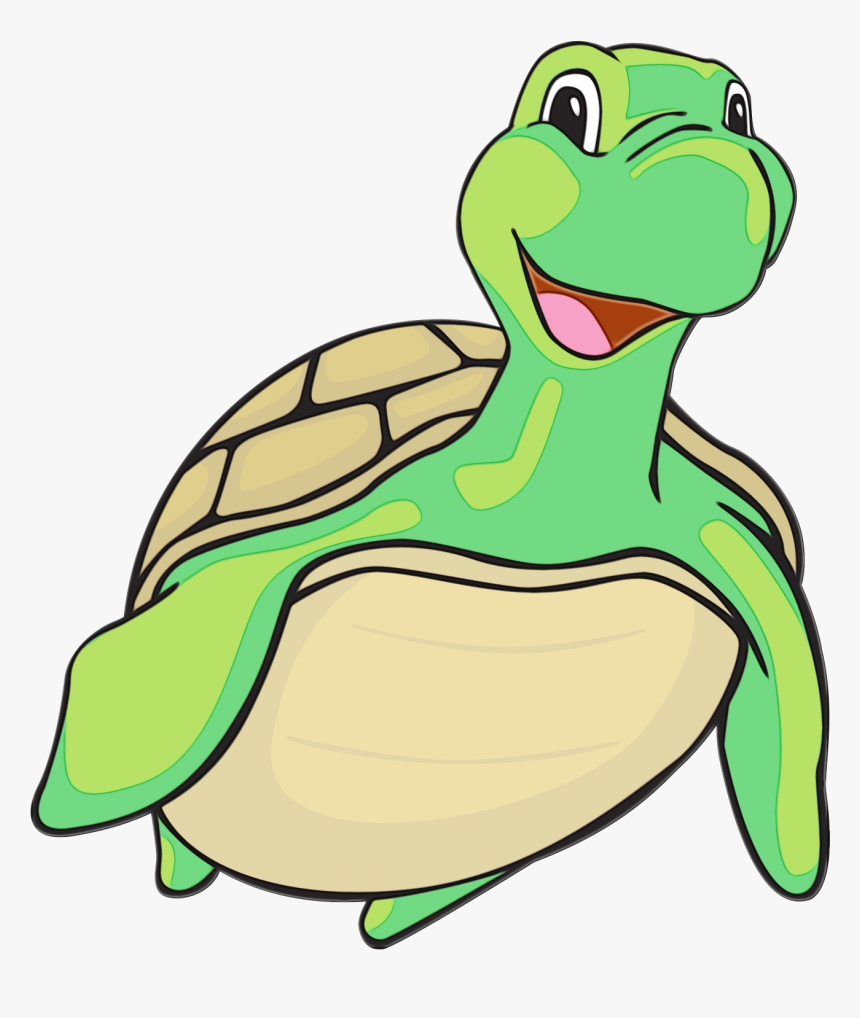 Turtle Clip Art Portable Network Graphics Vector Graphics - Transparent ...