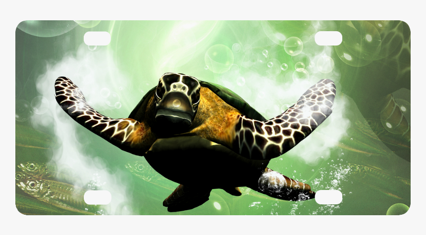 Hawksbill Sea Turtle , Png Download - Sea Turtle, Transparent Png ...