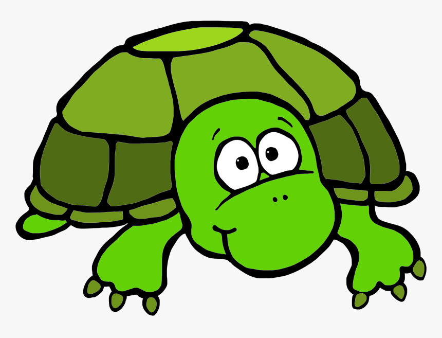 Colorful Turtles Clipart