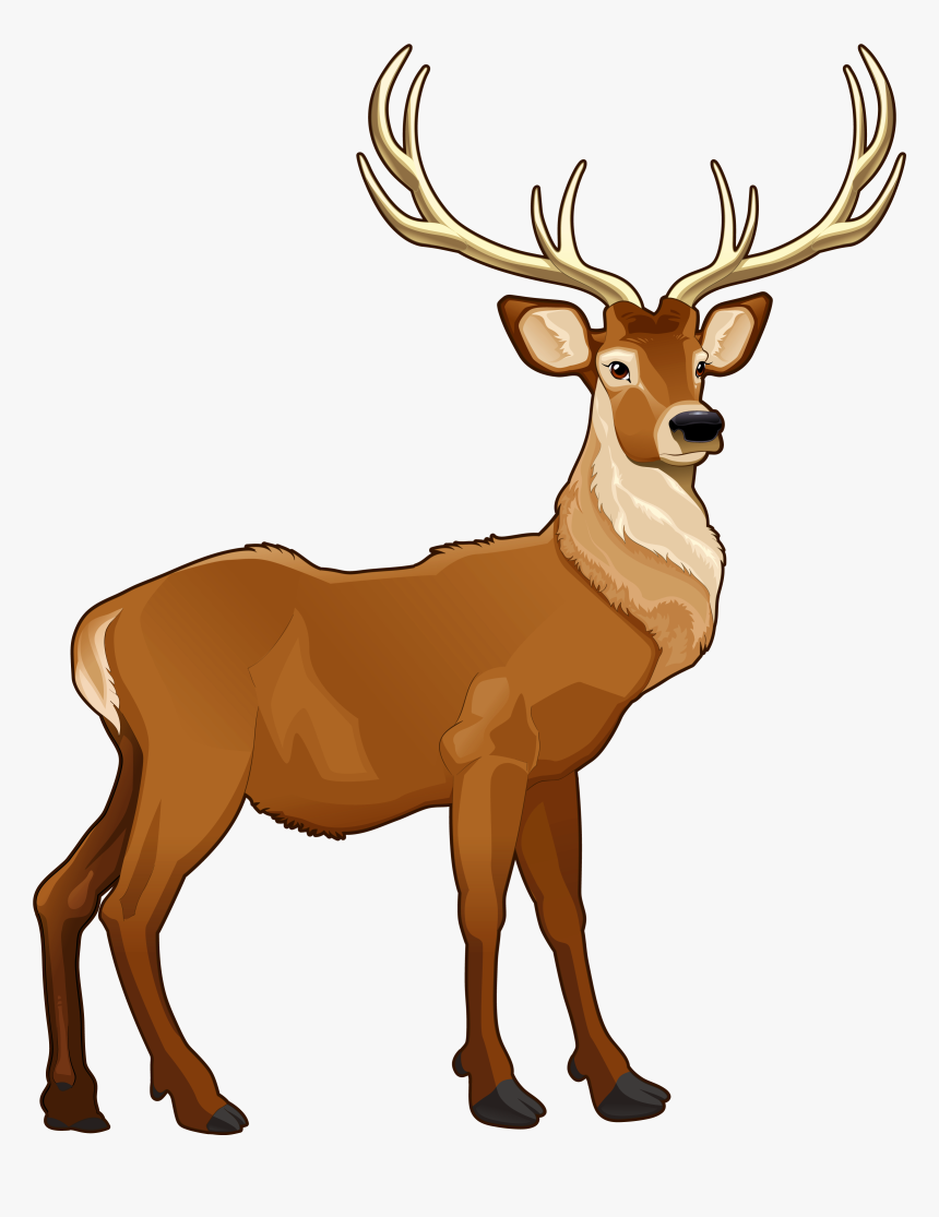 Buck Clipart