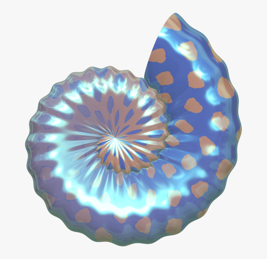 Free Seashell Cliparts The Cliparts - Sea Shells Transparent Background ...