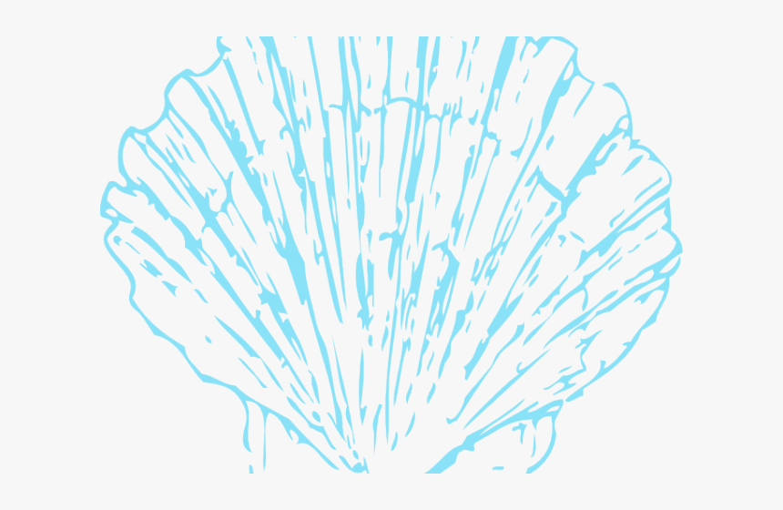 Transparent Seashell Border Clipart - Blue Seashell Png, Png Download ...
