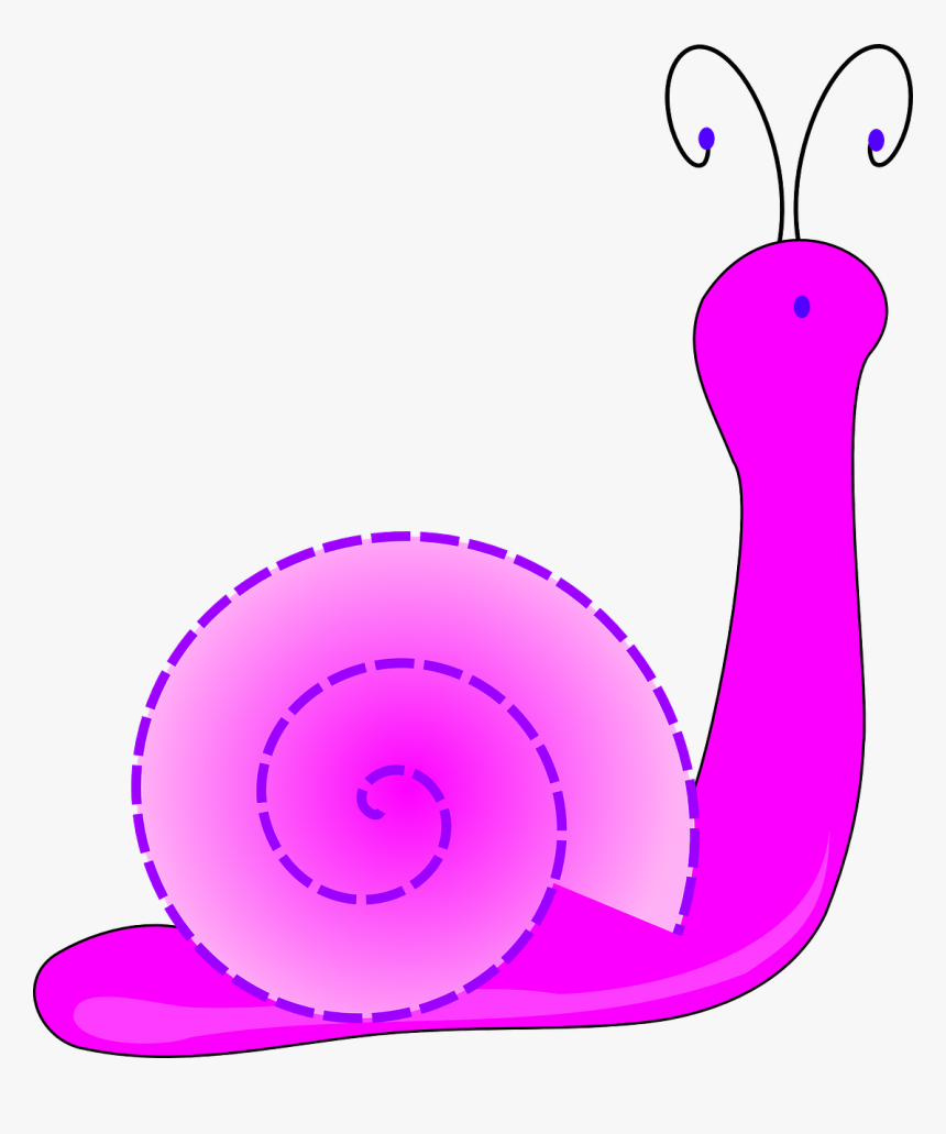 Snail Clip Art, HD Png Download , Transparent Png Image - PNGitem
