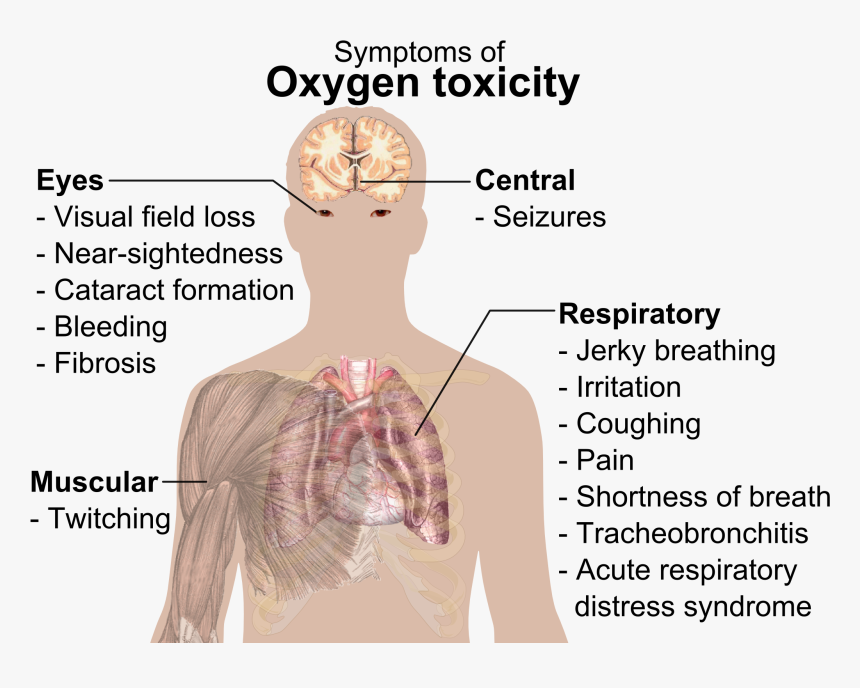 Transparent Symptoms Png - Sign And Symptom Of Oxygen Toxicity, Png ...