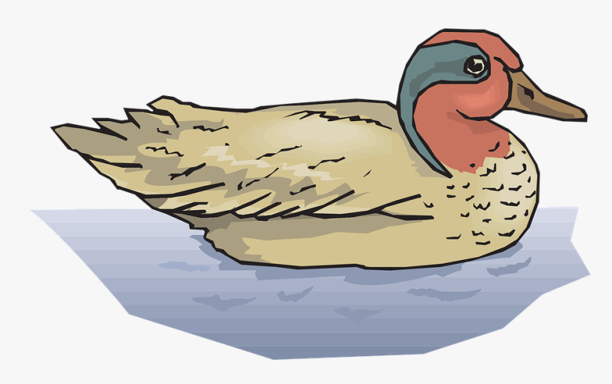 Mallard Duck Clipart In Water