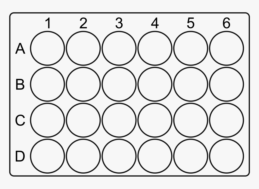 24 Well Plate Png, Transparent Png , Transparent Png Image - PNGitem