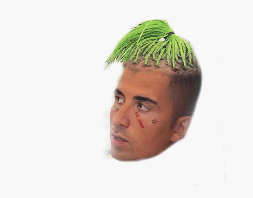 Human, HD Png Download , Transparent Png Image - PNGitem