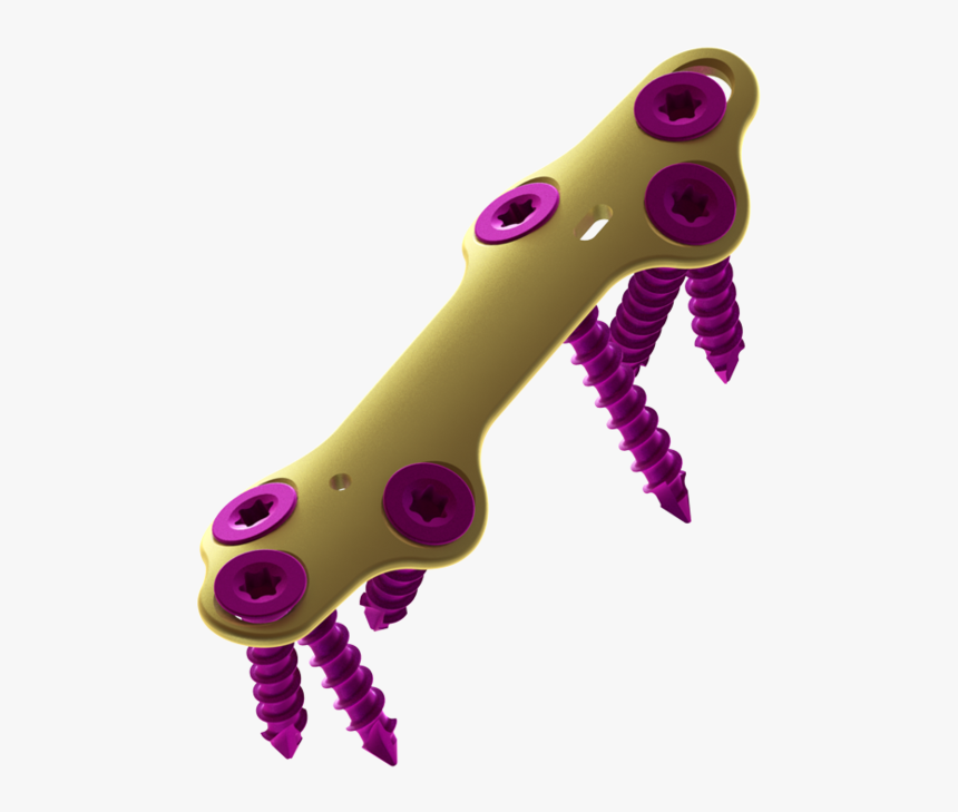 Mtp-plate - Cartoon, HD Png Download , Transparent Png Image - PNGitem