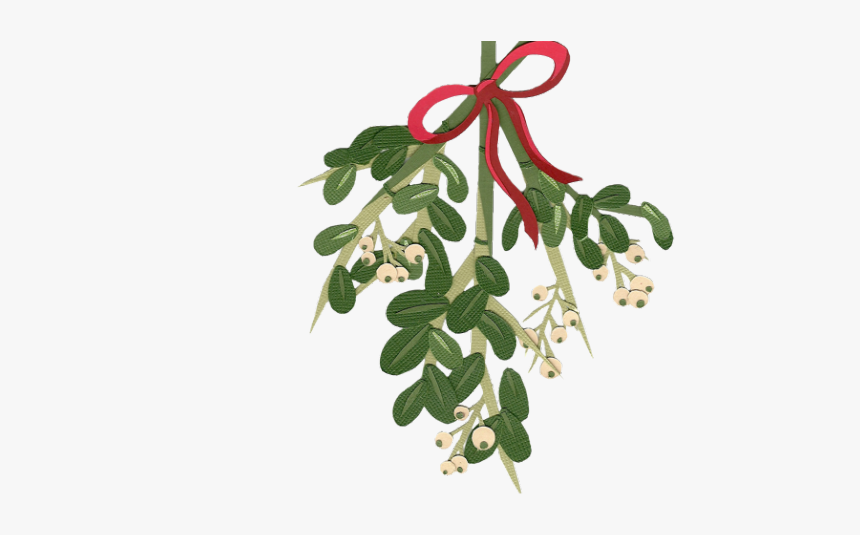 Mistletoe Cliparts Transparent - Christmas Flower Watercolor Png, Png ...