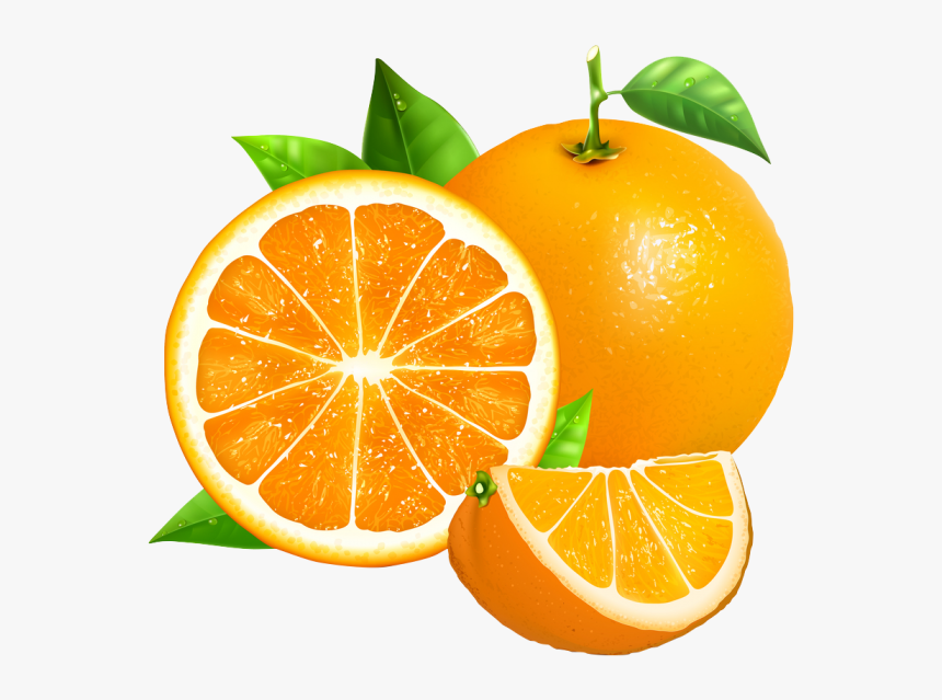 Oranges Vector, HD Png Download , Transparent Png Image - PNGitem