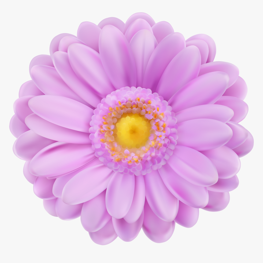 Transparent Daisy Clipart - Transparent Background Flower Png, Png ...