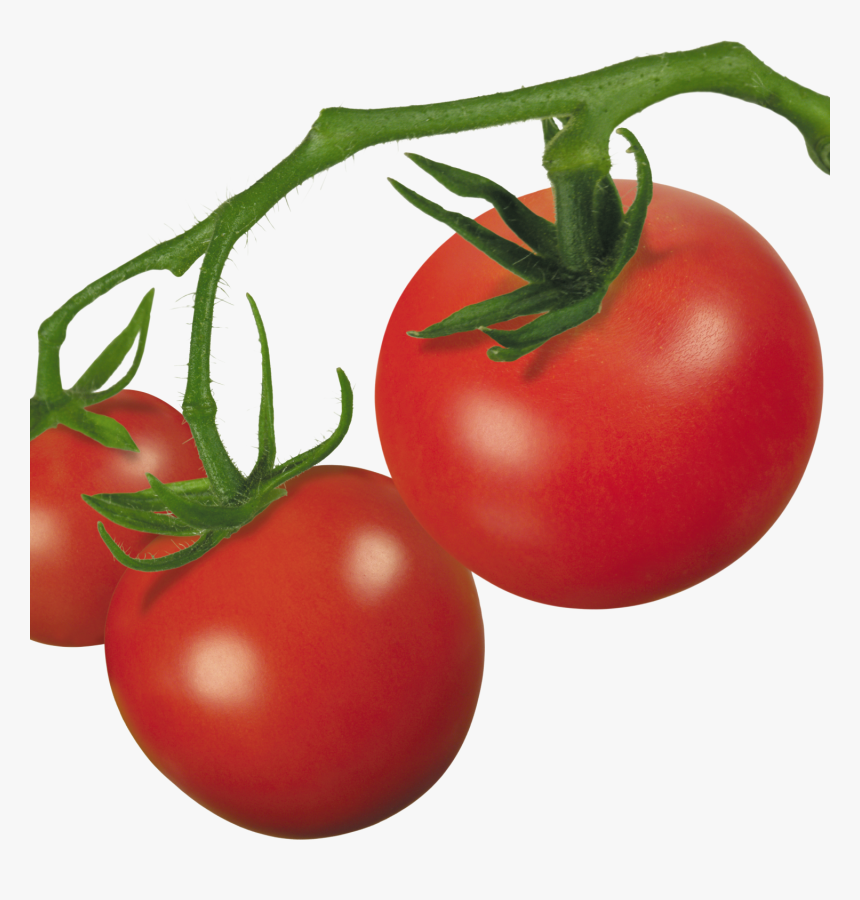 Pin Tomato Clip Art On Pinterest - Transparent Real Background Tomato ...