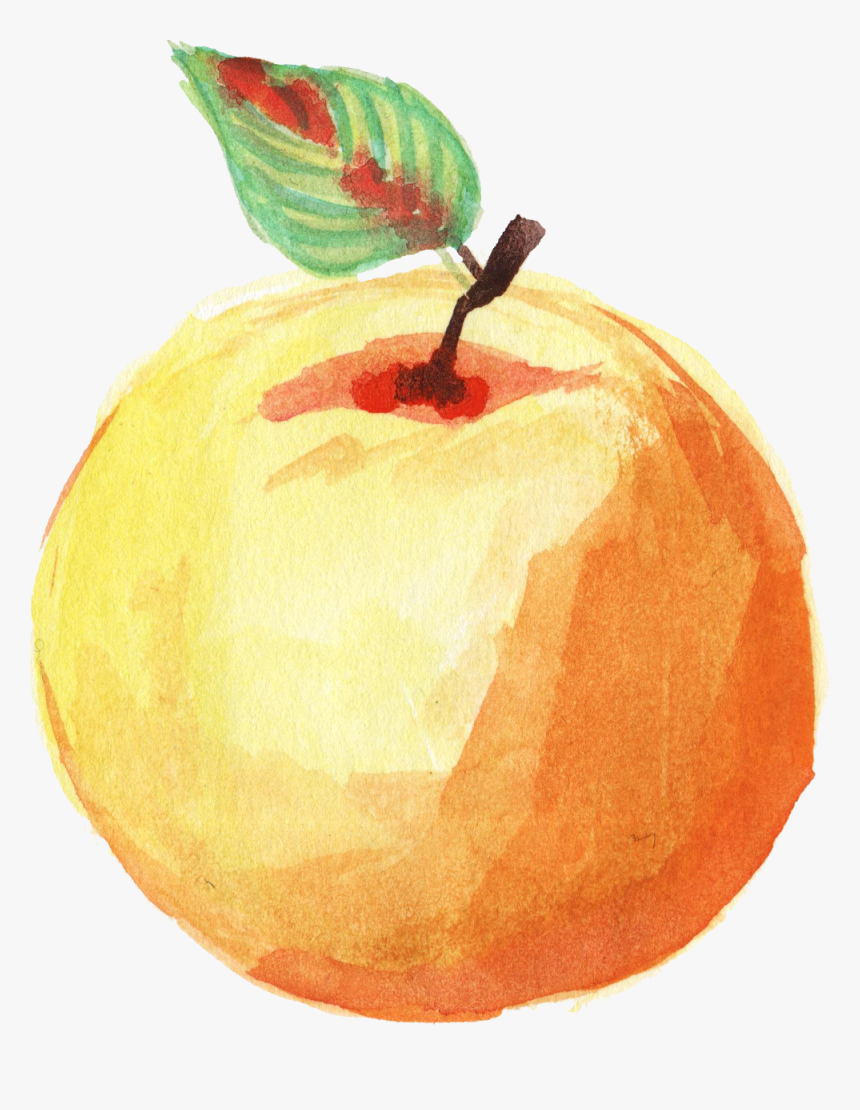 Watercolor Fruit Transparent Background, HD Png Download , Transparent ...