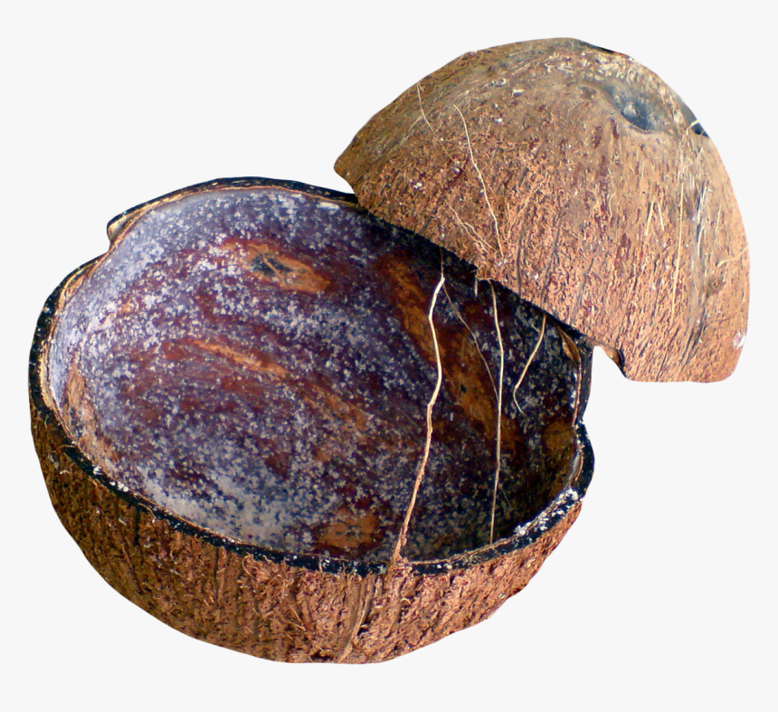 Coconut Shell Png, Transparent Png , Transparent Png Image - PNGitem