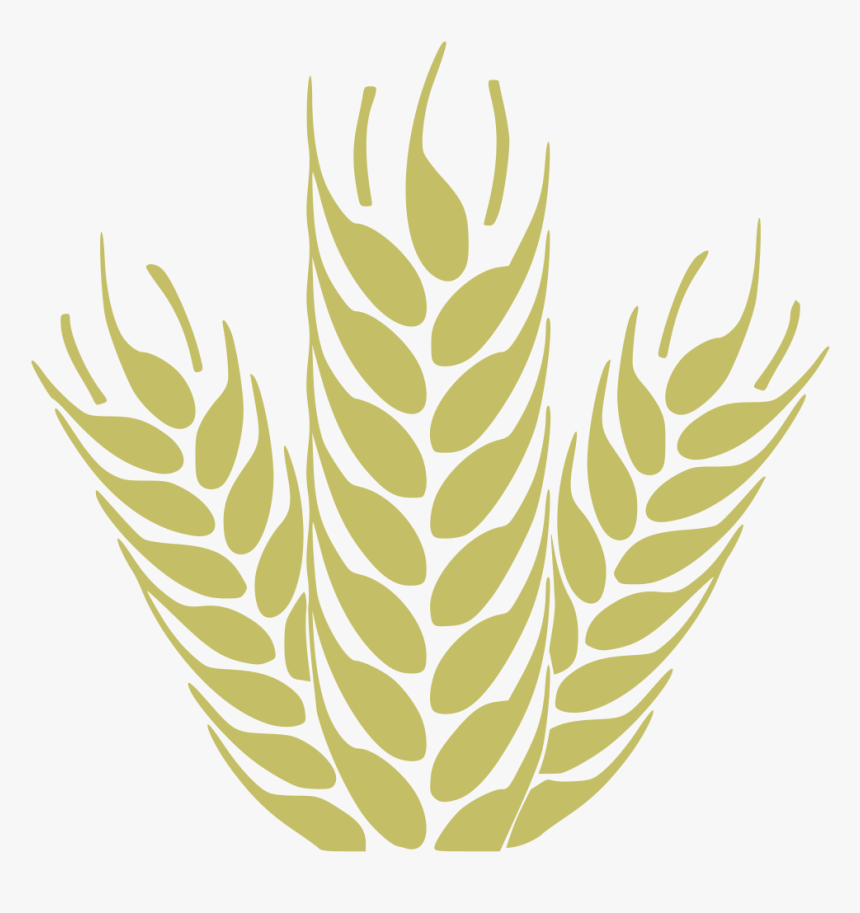 Wheat 1 - Trigo - Agriculture Visiting Card Design, HD Png Download ...