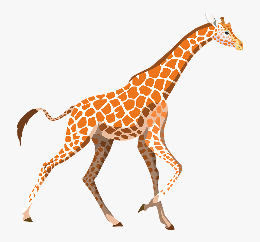 Girafe Clipart