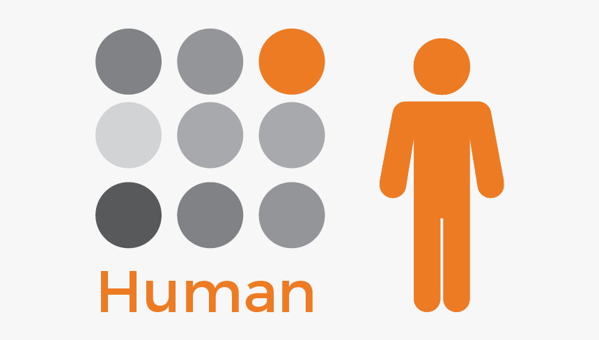 Human Png Orange, Transparent Png , Transparent Png Image - PNGitem