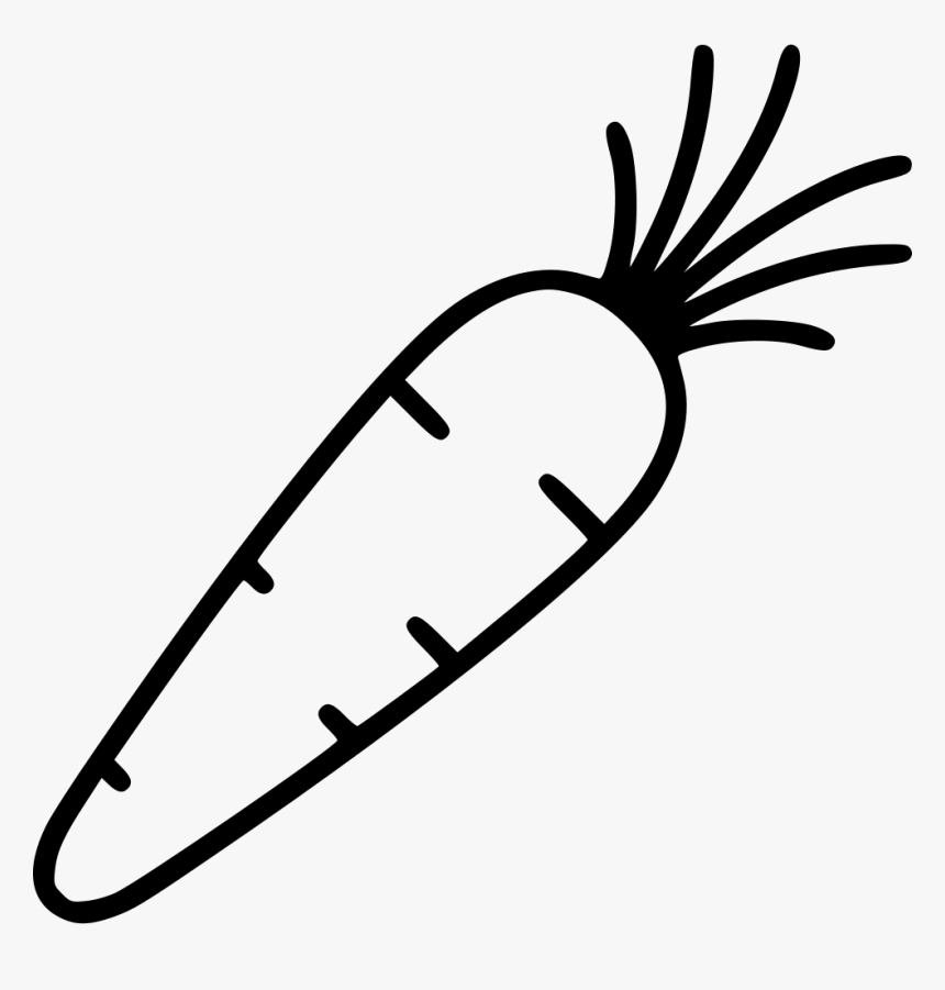 Carrot - Icon, HD Png Download , Transparent Png Image - PNGitem
