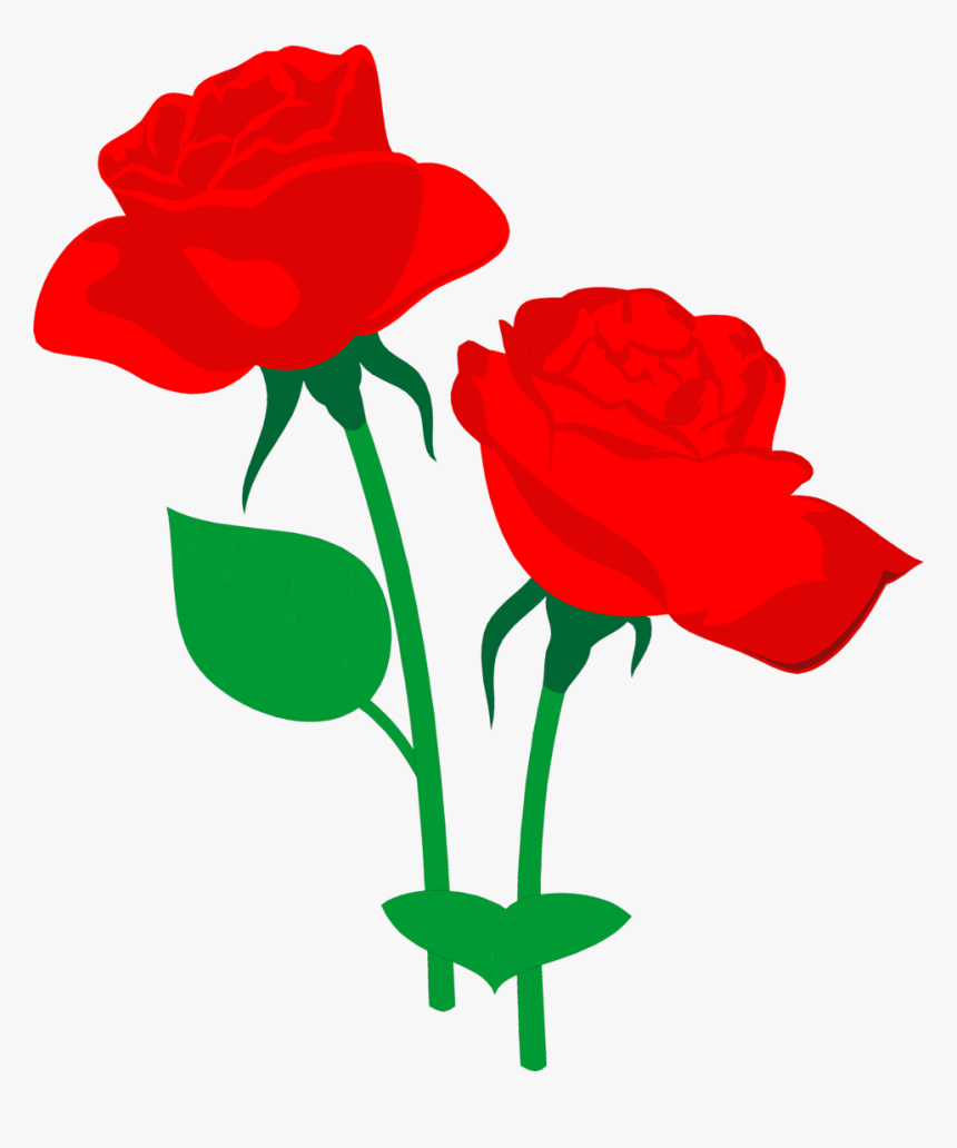 Flower Rose Clip Art - Roses Clipart, HD Png Download , Transparent Png ...