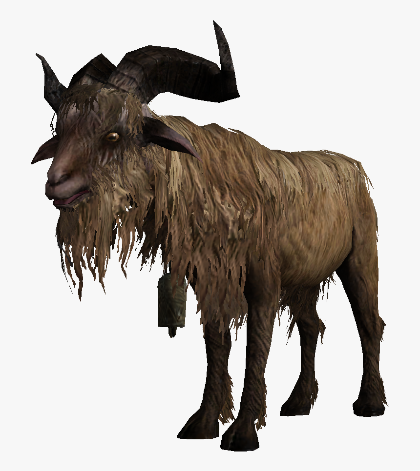 Goat, HD Png Download , Transparent Png Image - PNGitem