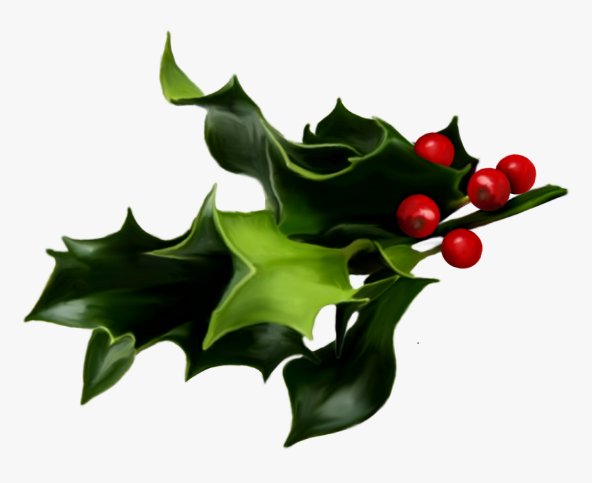 Real Mistletoe Png, Transparent Png , Transparent Png Image - PNGitem