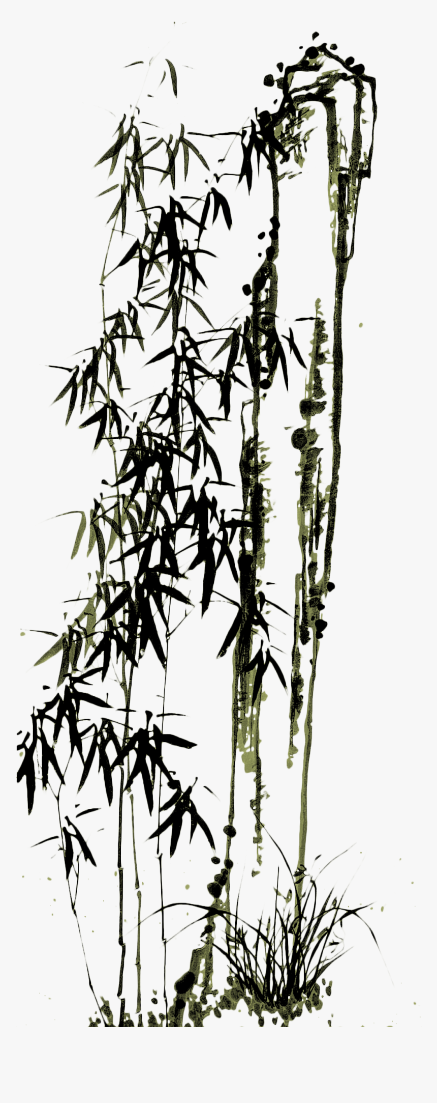 Drawn Bamboo Kawayan - Chinese Painting Bamboo Png, Transparent Png ...