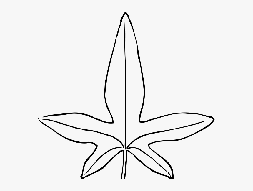 Tropical Rainforest Leaves Template