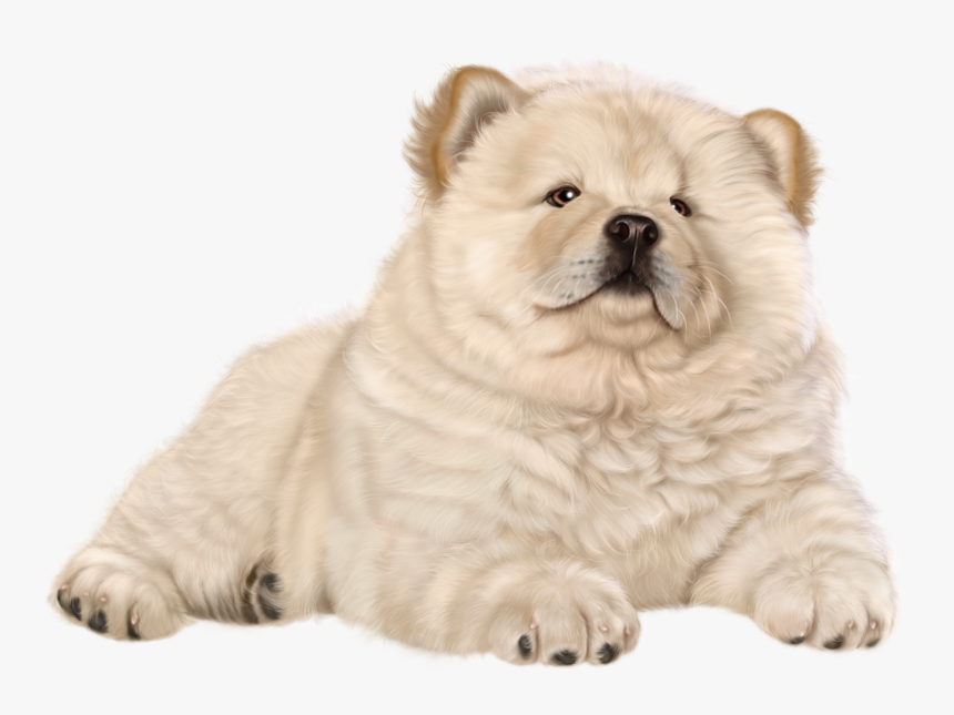 Puppy Png Clip Art - Chow Chow Clip Art, Transparent Png , Transparent ...