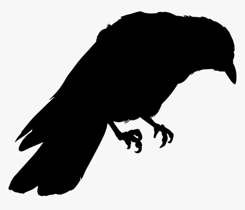 Bird,claw,line Art,perching Bird,clip - Crow Silhouette Png ...