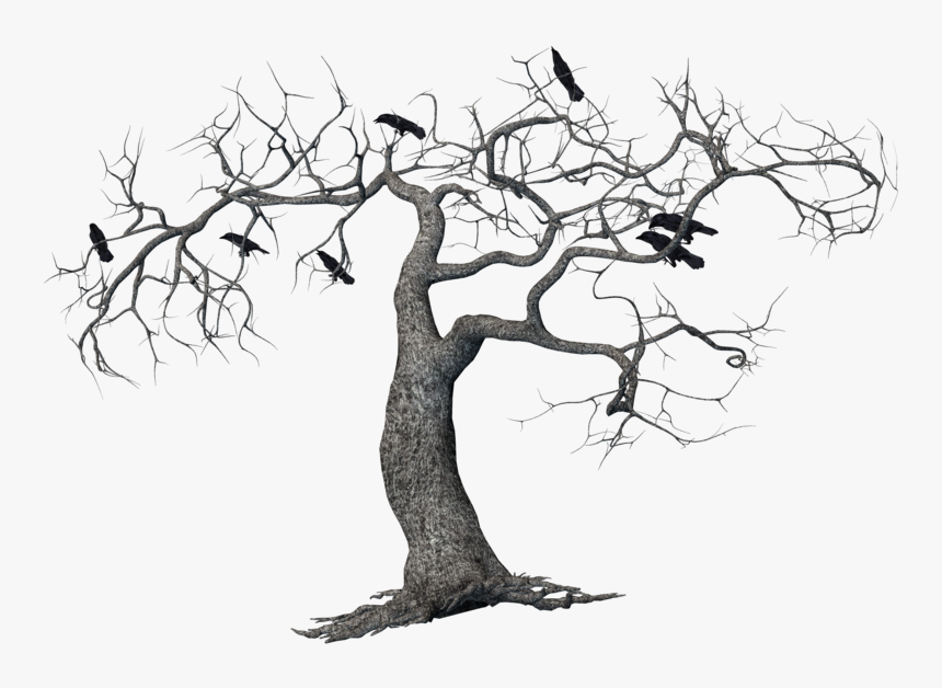 Crows On Tree Png Transparent, Png Download , Transparent Png Image ...