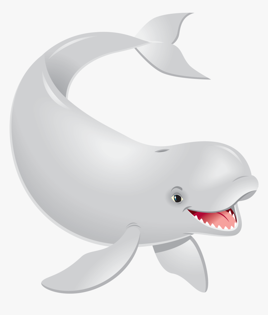 Transparent Beluga Whale Png, Png Download , Transparent Png Image ...