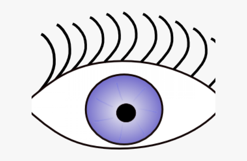 Eyeball Clipart See Sense - Eye Clip Art, HD Png Download , Transparent ...