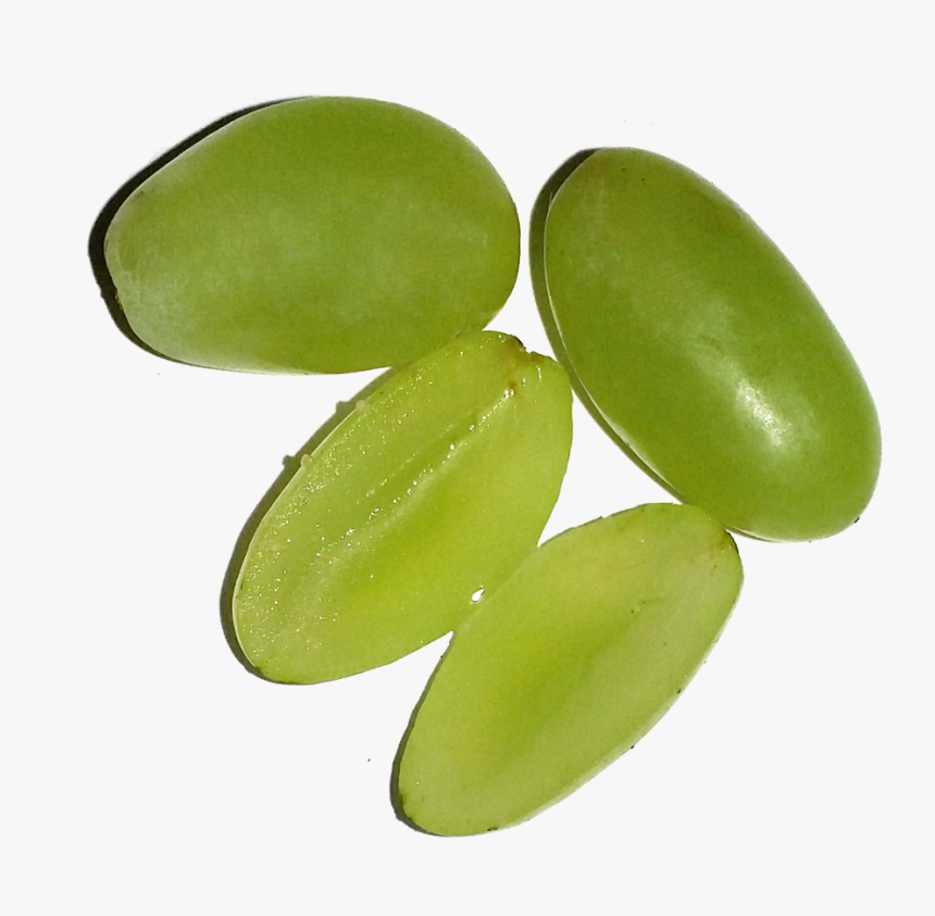 Download Large Png File, Transparent Png , Transparent Png Image - PNGitem