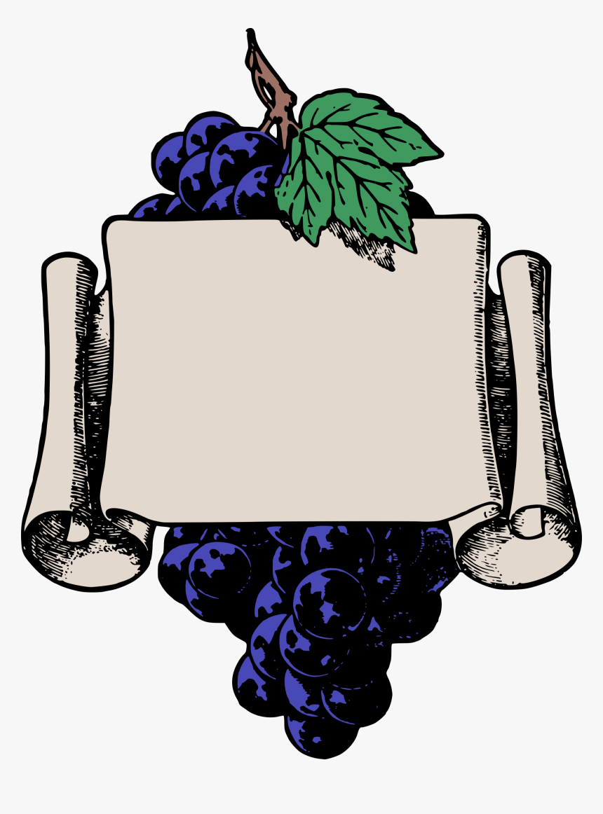 Wonderful Grapes Frame - Wine Grapes Clipart Frames, HD Png Download ...
