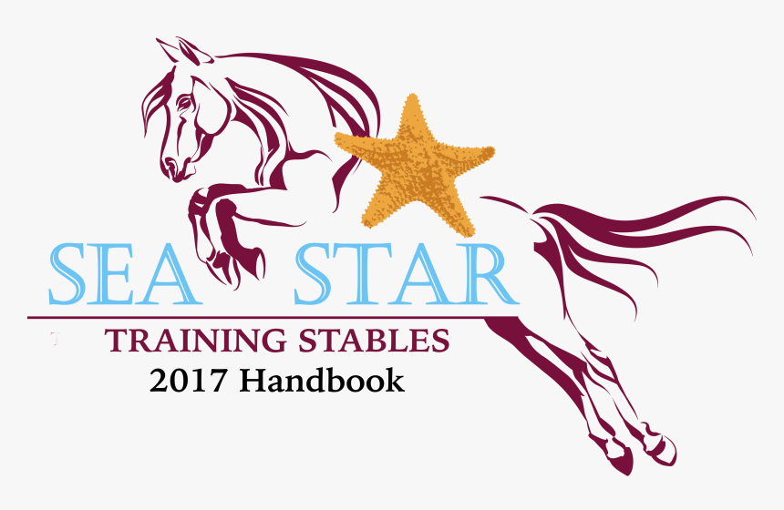 Sea Star Handbook - Graphic Design, HD Png Download , Transparent Png ...