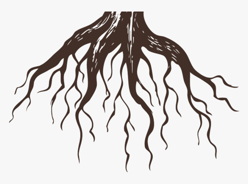 Transparent Tree With Roots Png - Chinese Bamboo Tree Roots, Png ...