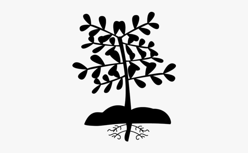 Transparent Cartoon Plant With Roots Png - Plant Roots Clipart ...