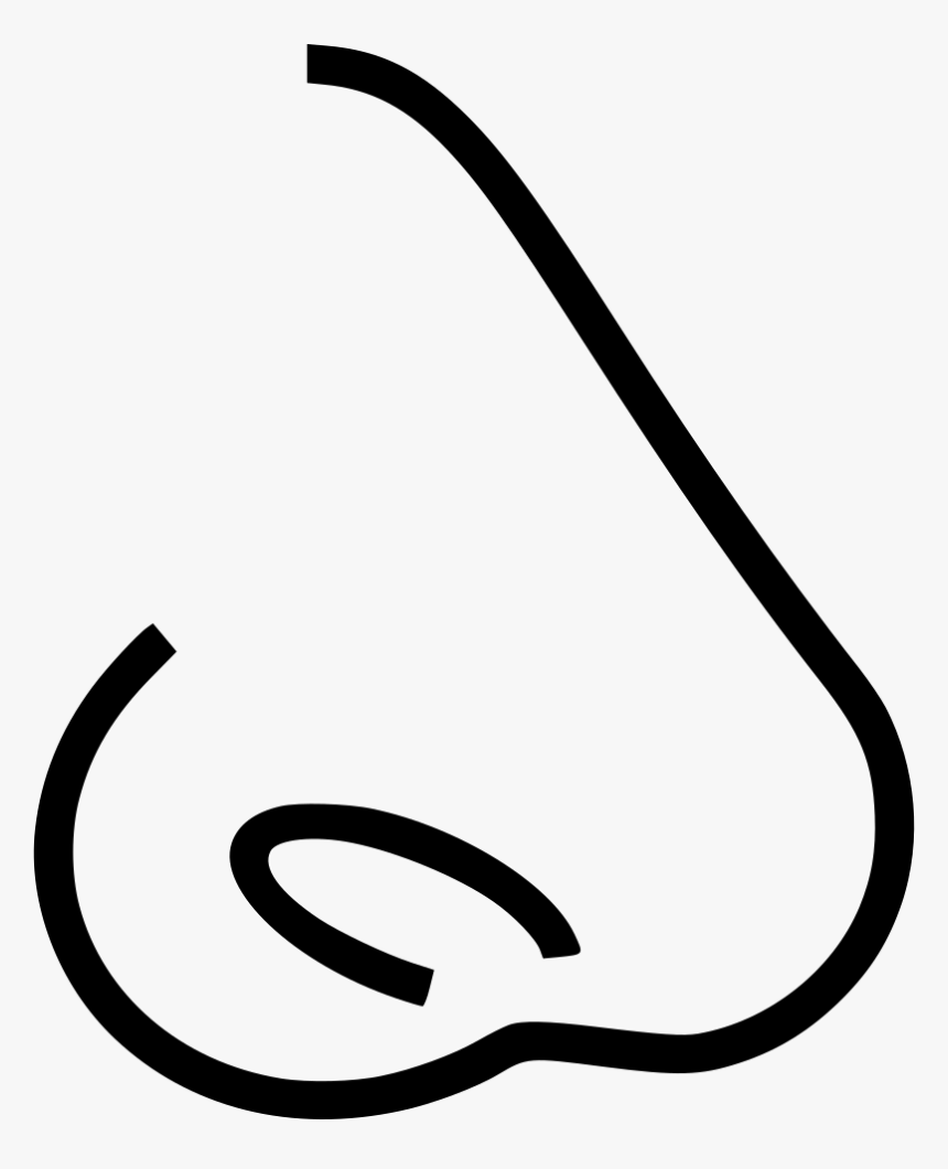 Nose, HD Png Download , Transparent Png Image - PNGitem