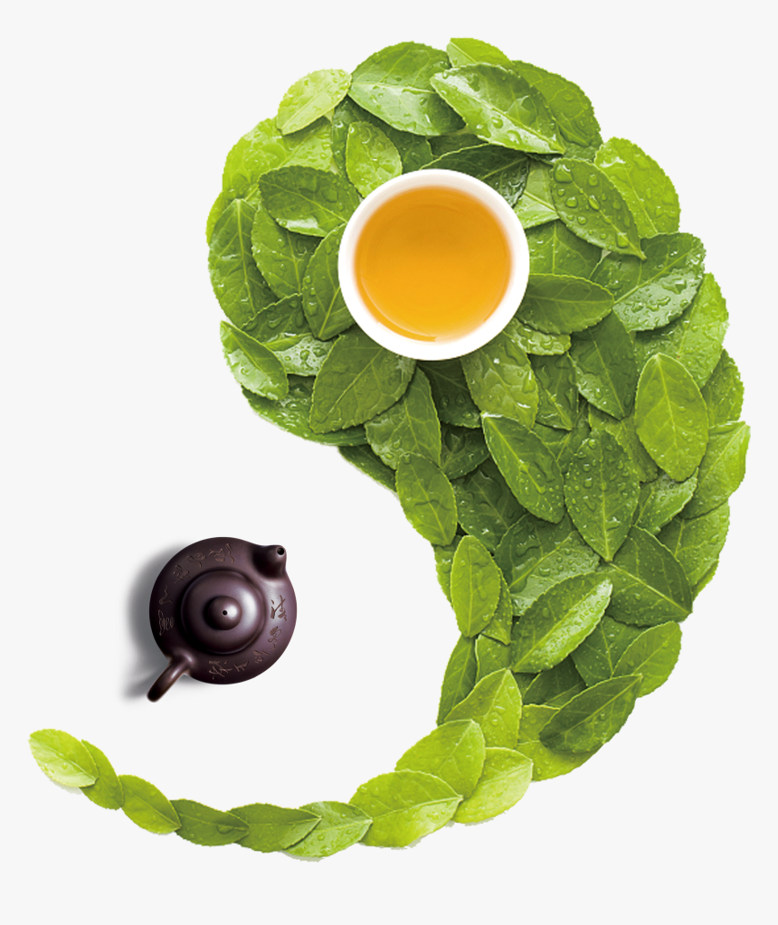 Green Tea Png Download - Ying Yang Tea, Transparent Png , Transparent ...