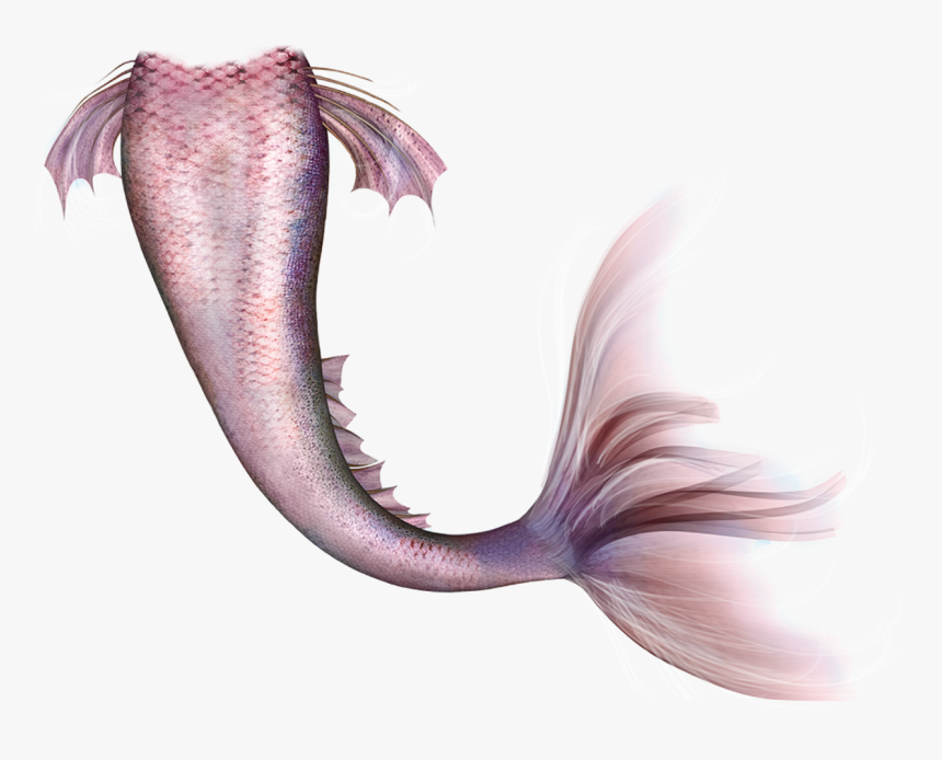 Mermaid Legendary Creature Fairy Tail - Mermaid Tail Png, Transparent ...