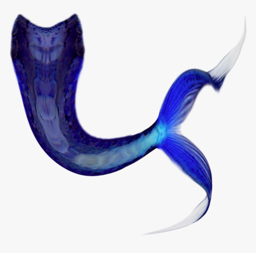 Share This Article - Mermaid Tail Cartoon Transparent, HD Png Download ...